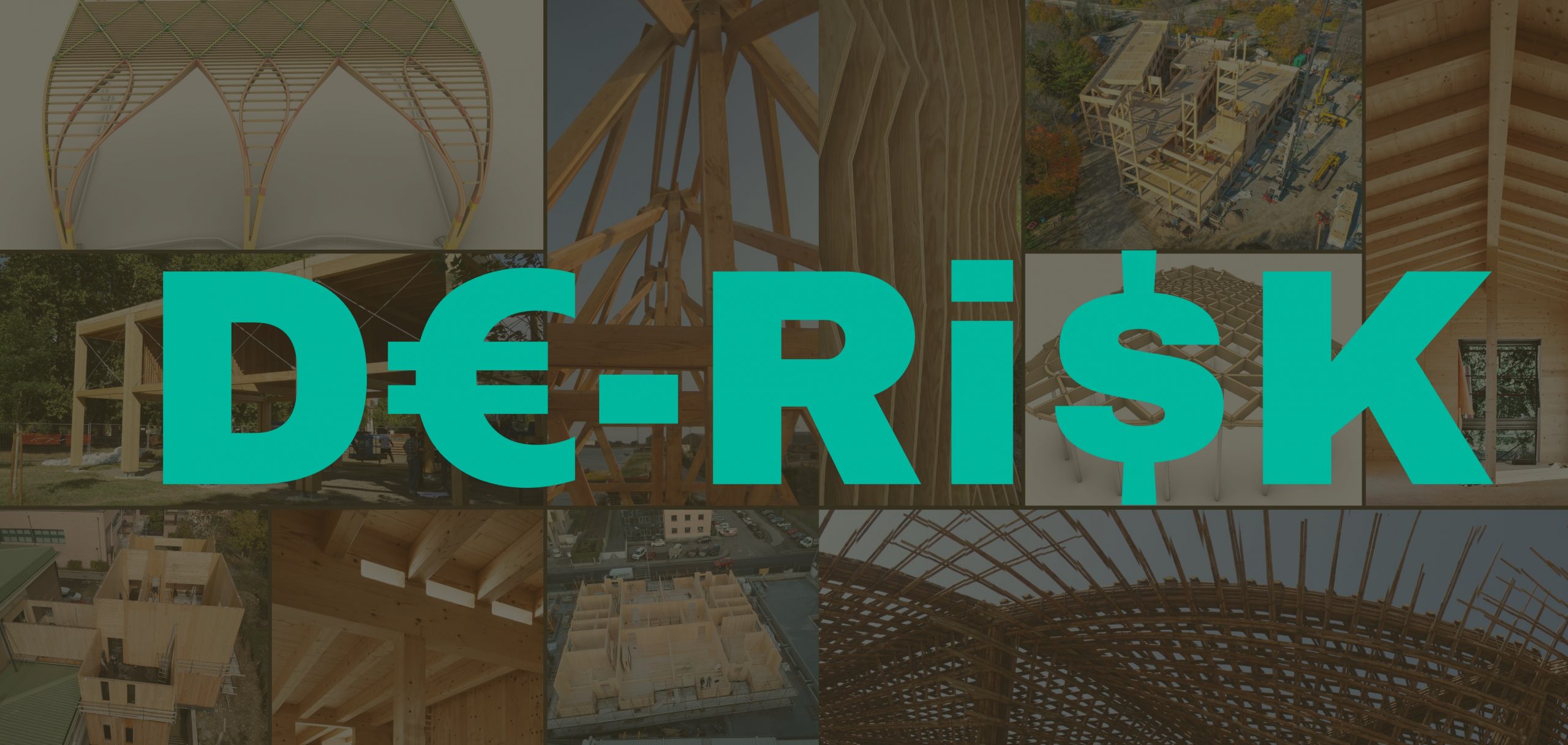 How to de-risk a project | Technical Articles | ergodomus