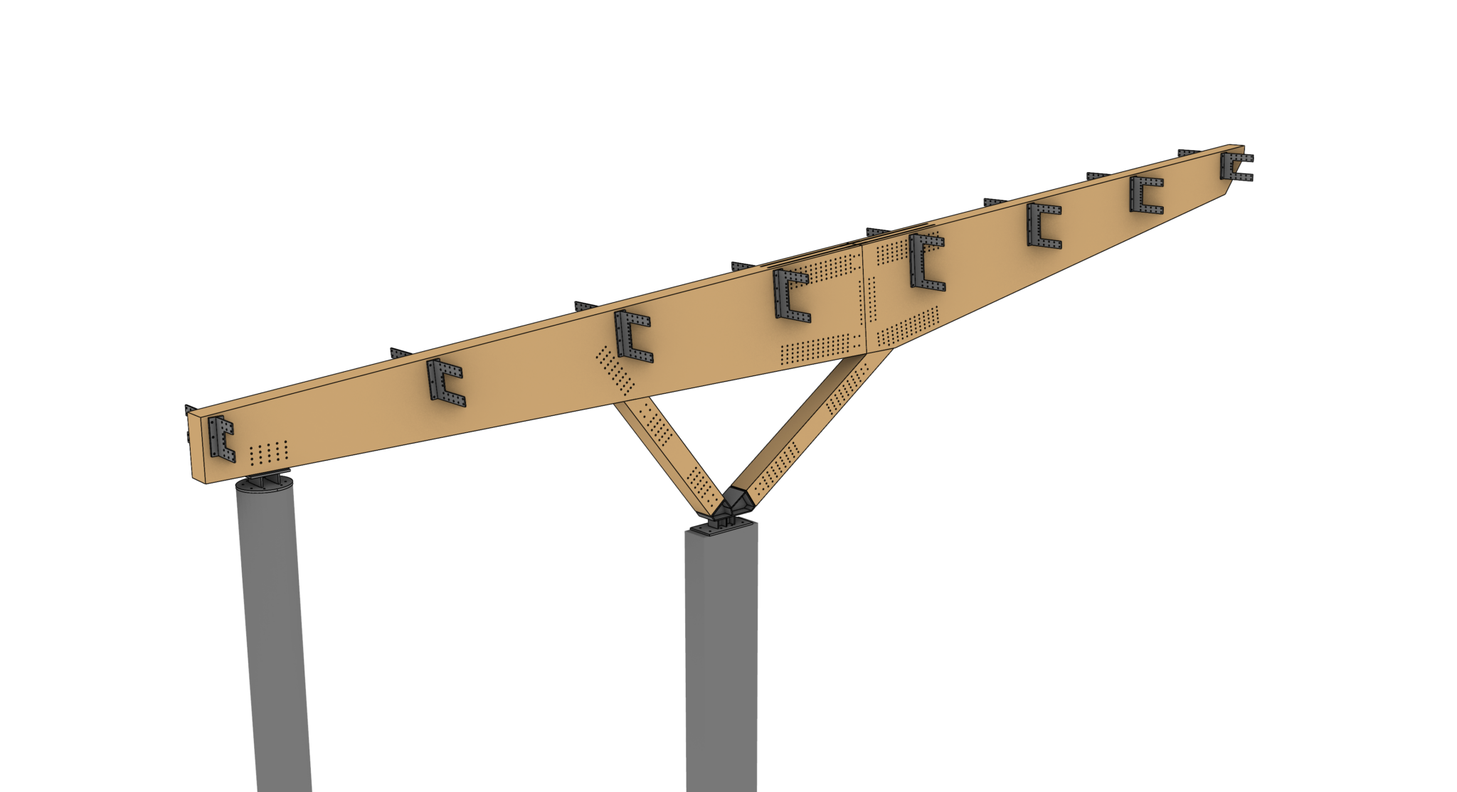 Browne Park Stadium - Rockhampton, Australia | Projects | ergodomus