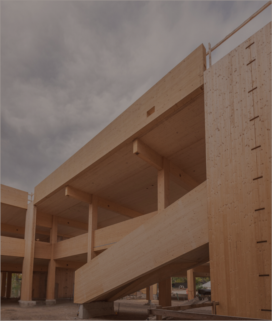 ergodomus | The Art of Timber Engineering