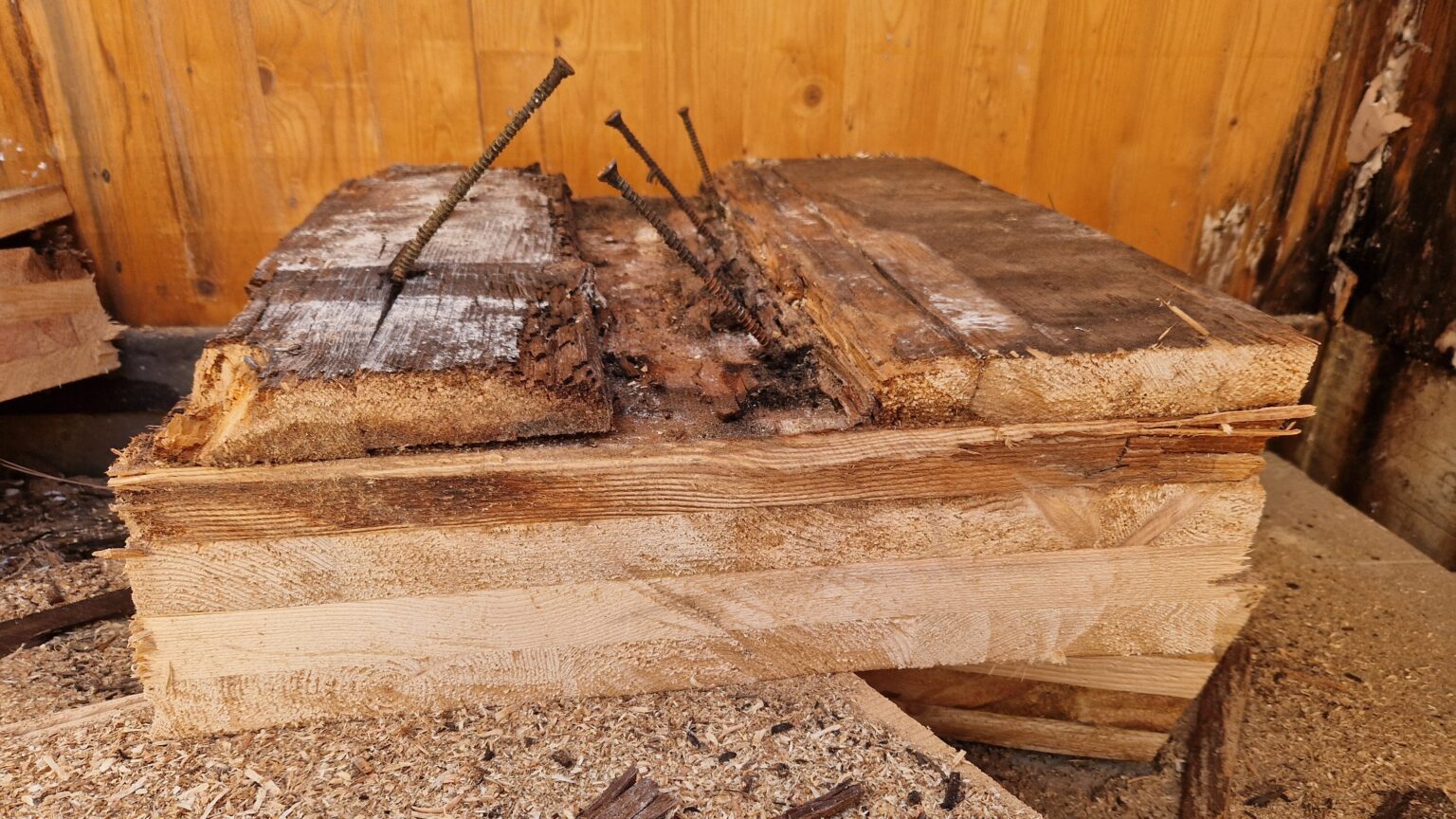 The 3(+1) Keys to Timber Durability | Technical Articles | ergodomus